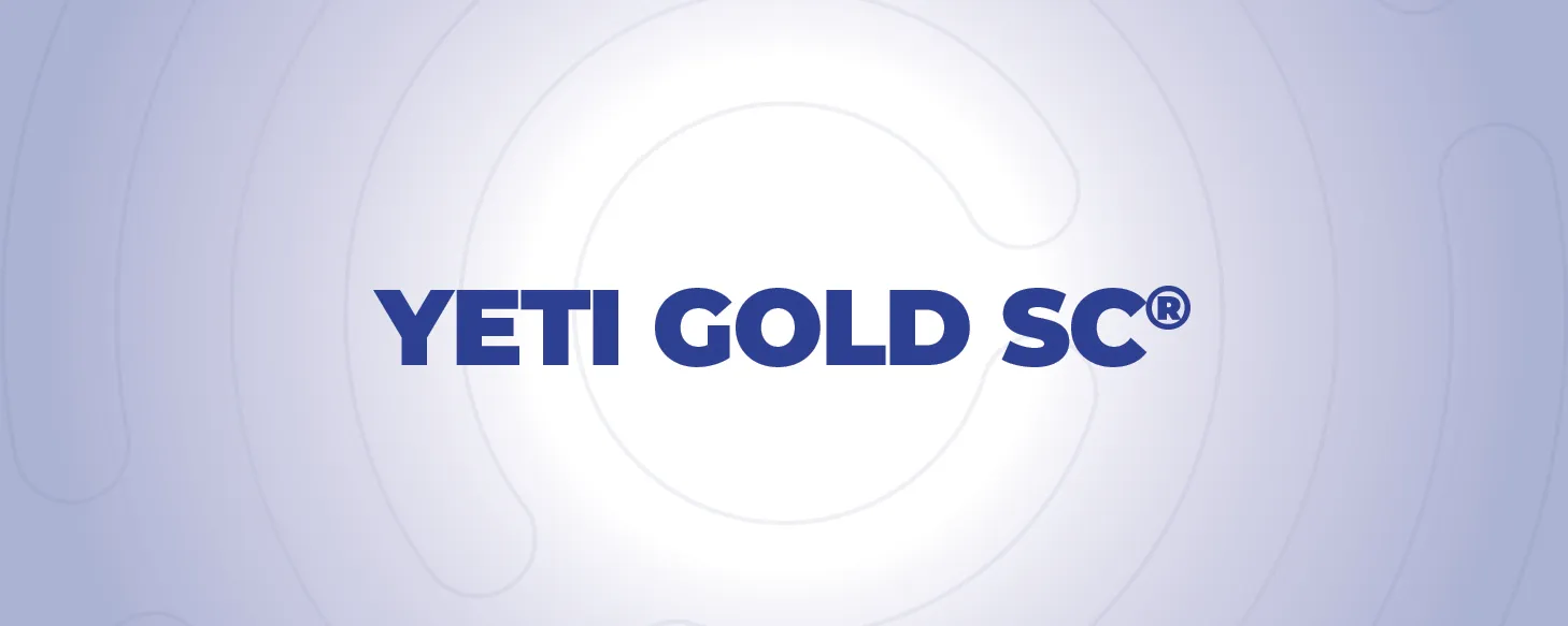 Yeti Gold SC Azoxistrobina 200 Tebuconazol 300